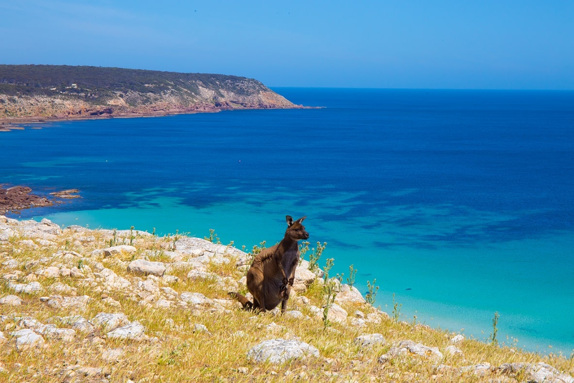 4WD-Safari Explorer's Way (Adelaide - Darwin) - COCO Weltweit Reisen GmbH